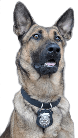 Euclid Police – 545 E 222nd St – 216-731-1234 | Official Home of the ...