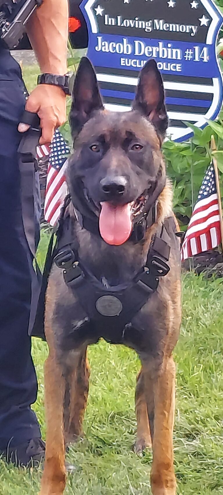 K-9 Unit | Euclid Police – 545 E 222nd St – 216-731-1234